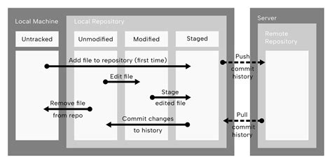 Introduction To Git Hub Introduction To Ancient Metagenomics