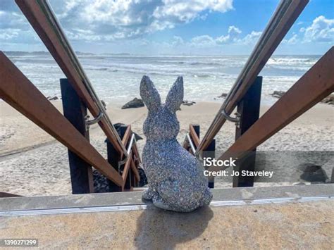 해변에서 은빛 반짝이는 부활절 토끼 해변으로 향하는 갈색 계단 꼭대기에 앉아 있습니다 배경의 바다와 하늘 키라 비치 골드 코스트 퀸즐랜드 호주 부활제에 대한 스톡 사진 및