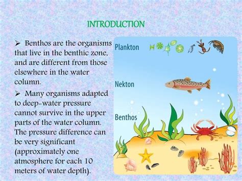 Bioindicators And Biomonitors Pptx Pptx Geology Science
