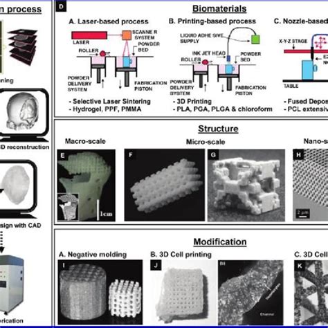 Pdf Three Dimensional Cell Culture Matrices State Of The Art