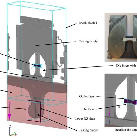 Simulation Model For The Fluid Structure Interaction Fsi Calculation