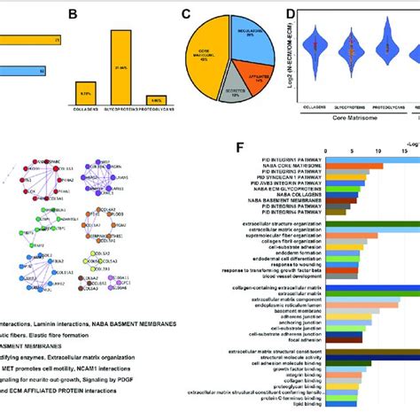 Decellularized Extracellular Matrix Decm From Human Dental Pulp Download Scientific Diagram