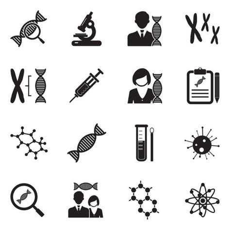 300 Genome Sequencing Icon Stock Illustrations Royalty Free Vector