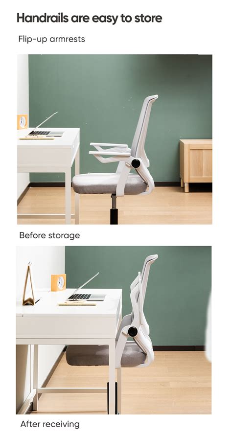 Deli Ergonomic Chair Lumbar Support Home Office Computer Study Chair