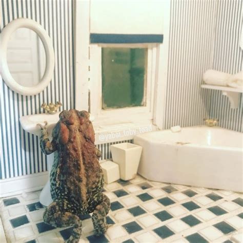 The Life Of Toby The Toad 30 Pics