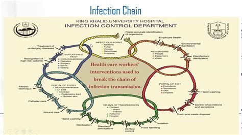 Infection Control Basic Concept Template Web Infection Prevention Ati Basic Concept 2 Share