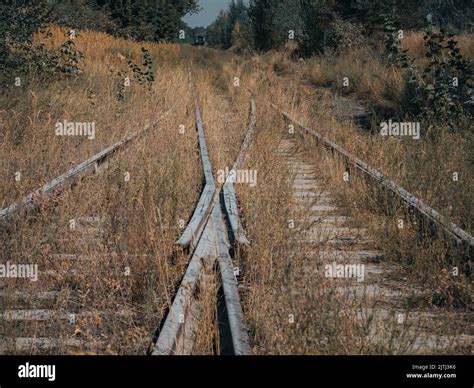 crossing old rails overgrown grass rails an old abandoned railway