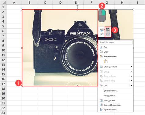 6 Ways To Crop Images In Microsoft Excel INFOXIAO