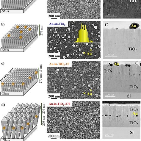 Left Schematic Illustrations Of TiO 2 And TiO 2 Au Hybrid Download Scientific Diagram