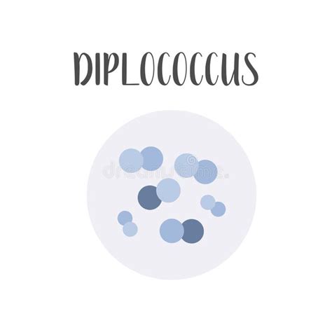 Diplococcus Icon Stock Illustrations 63 Diplococcus Icon Stock
