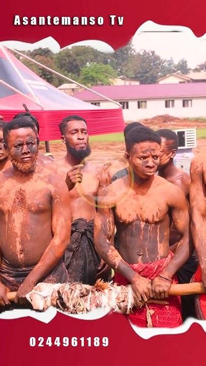 Asante Y3 Oman No Sex Or Alcohol Before You Can Carry This Great