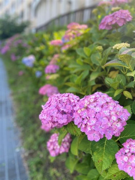 梅雨入り！ 横浜市ハピネス老人ホーム・介護施設紹介センター