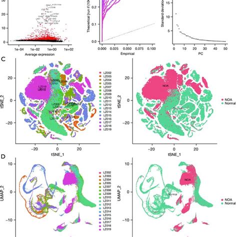 Landscape Of The Single Cell Transcriptome In GSE A Top Download Scientific