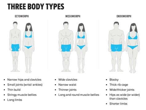 How To Lose Weight According To Your Body Type Trusper