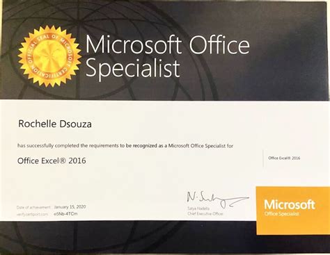 Rochelle Dsouza On Linkedin Advanced Ms Excel Course Completion Certificate Achieved