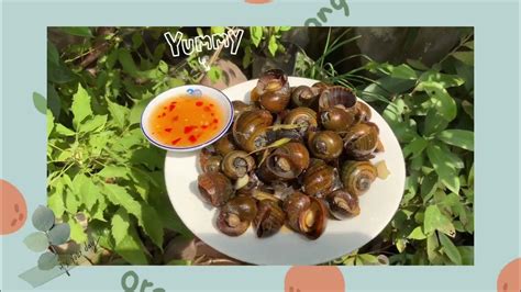 ខ្យងស្ងោរ ទឹកត្រីកោះកុង ឆ្ងុយឆ្ងាញ់ Youtube