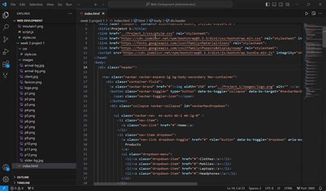Sambit Kumar Bisoi On Linkedin Webdevelopment Html Css Internship