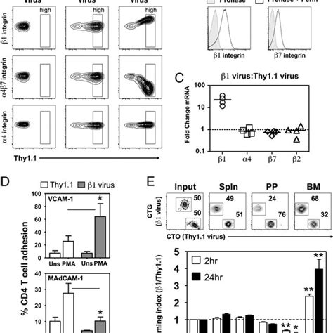 Abundance Of A4 Integrin Controls A4b7 Integrin Expression A