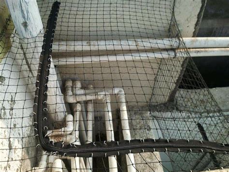 Industrial Bird Netting Installation In Gurugram Mk Bird Nets