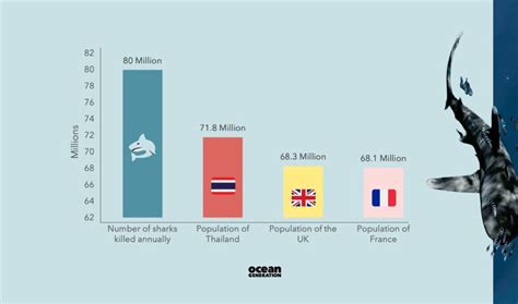 Re Thinking The Shark Stereotype Ocean Generation