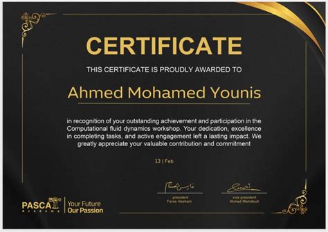Cfd Ansys Fluiddynamics Engineering Simulation Ahmed Mohamed Younis