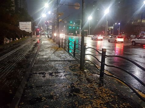 비오는 가을 Foto Gratis En Pixabay