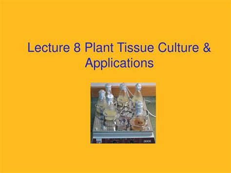 PPT Lecture 8 Plant Tissue Culture Applications PowerPoint