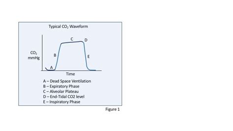 Figure Co2 Waveform Created And Contributed By T Nowicki Md