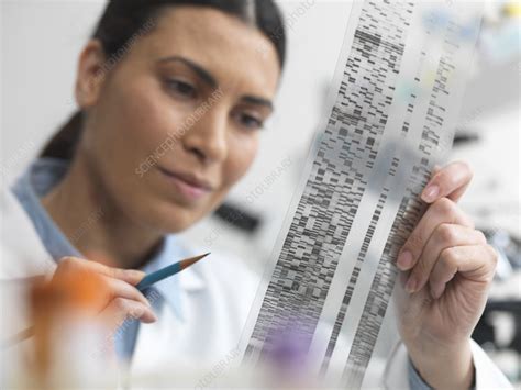 Scientist Examining Dna Gel Stock Image F0105336 Science Photo