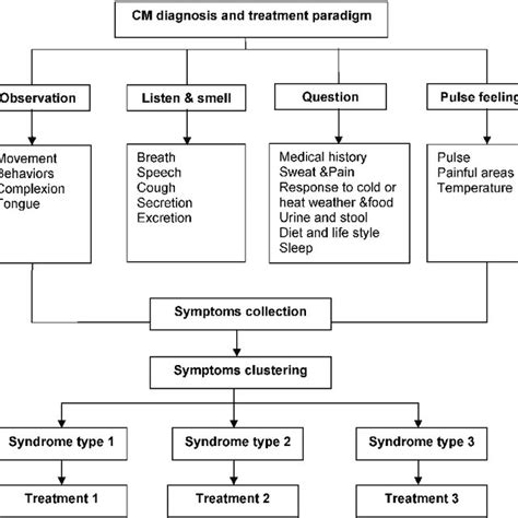 CM Diagnosis And Treatment Paradigm Download Scientific Diagram