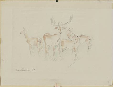 Erna Pinner Digital Collection