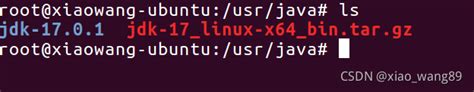 ubuntu手动安装jdk17 ubuntu安装jdk17 xiao wang98的博客 csdn博客