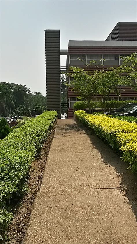 Universidade Obafemi Awolowo Wikipédia A Enciclopédia Livre