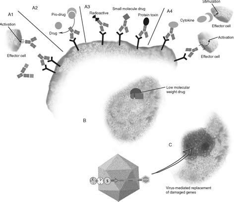 The Molecular Biology Of Cancer Pocket Dentistry