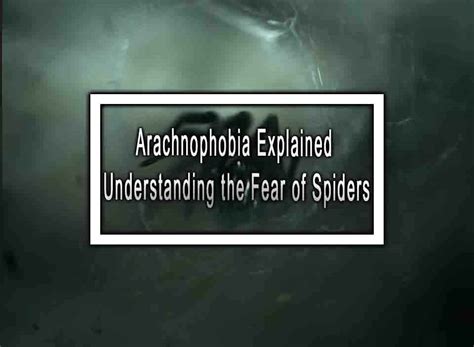 Arachnophobia Explained Understanding The Fear Of Spiders