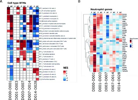 Cell Type Associated Responses After The First Vaccination A Heatmap Download Scientific