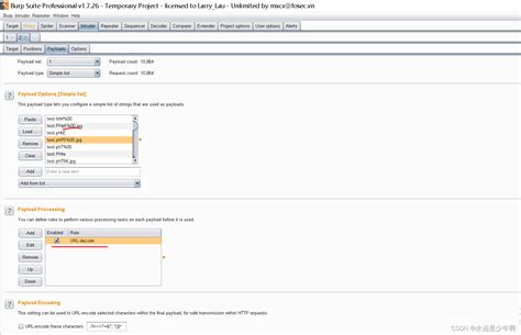 文件上传绕过waf之fuzz测试fuzz下载 Csdn博客