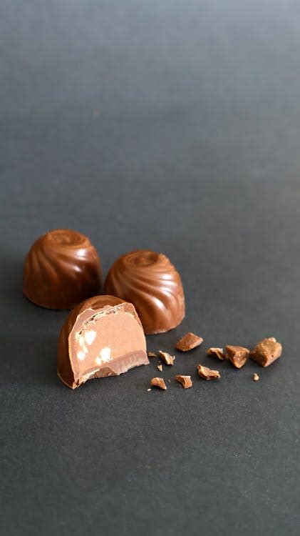 갈색 과자 깨진 초콜릿 단 것 달콤한 달콤한 치아 디저트 라운드 초콜릿 럭셔리 매끄러운 물기 미식가 밀크