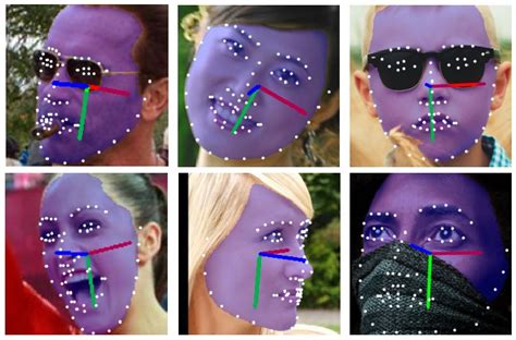 Visualization Of Simultaneous Facelpo Predictions On Three Different