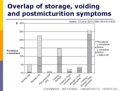 Female Voiding Dysfunction What Are We Trying To