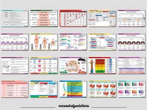 Set Of 30 Complete Nurse Reference Badge Card Pack Rn Pocket Cards Bundle Acls Cheat Sheet Icu