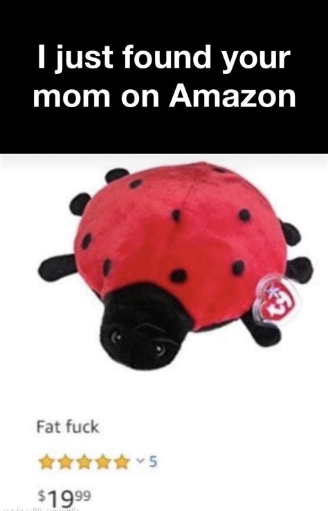 The Best Bug Memes Memedroid