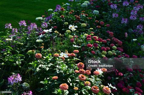 잔디밭에 있는 사각형의 공식 공원에서 매년 화단 벤치 흰색과 보라색 꽃매우 화려한 보행자 구역에서 완벽한 연결된 화단 0명에 대한 스톡 사진 및 기타 이미지 Istock