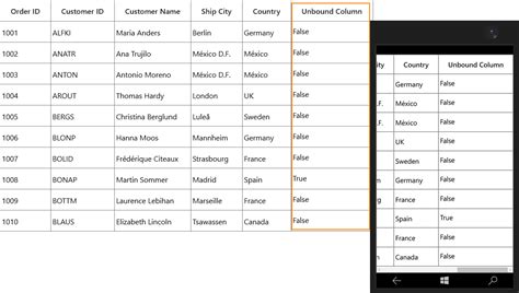 unbound column in uwp datagrid control syncfusion