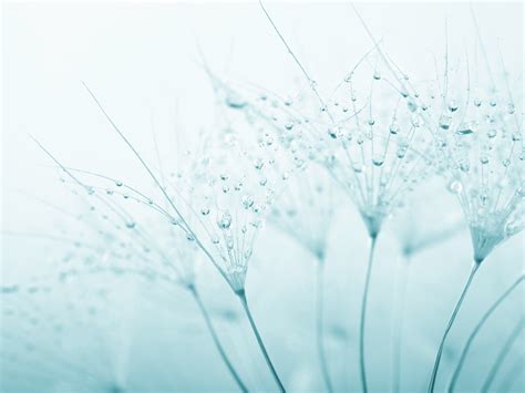 Juniper Talks About Their Advanced Threat Protection Platform