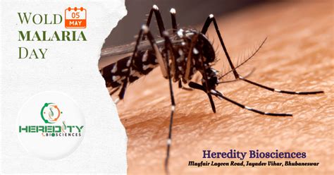 Malaria Awareness Lets Make Every Day World Malaria Day Heredity Bioscience