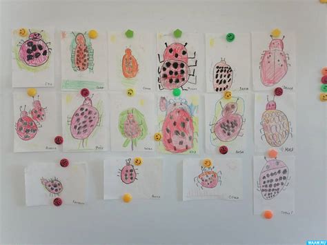 Насекомые Конспекты занятий НОД Воспитателям детских садов школьным учителям и педагогам