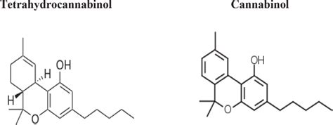 Chemical Stuctures Of Tetrahydrocannabinol And Cannabinol Download Scientific Diagram