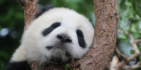 Is Hibernate Mode Bad For Your Pc All You Need To Know