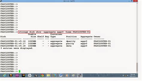 Remote Infrastructure Management NetApp C Mode Disk Management